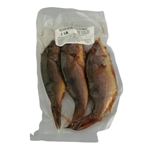 Kip - Pescado entero boca colorada pequeño Delimar